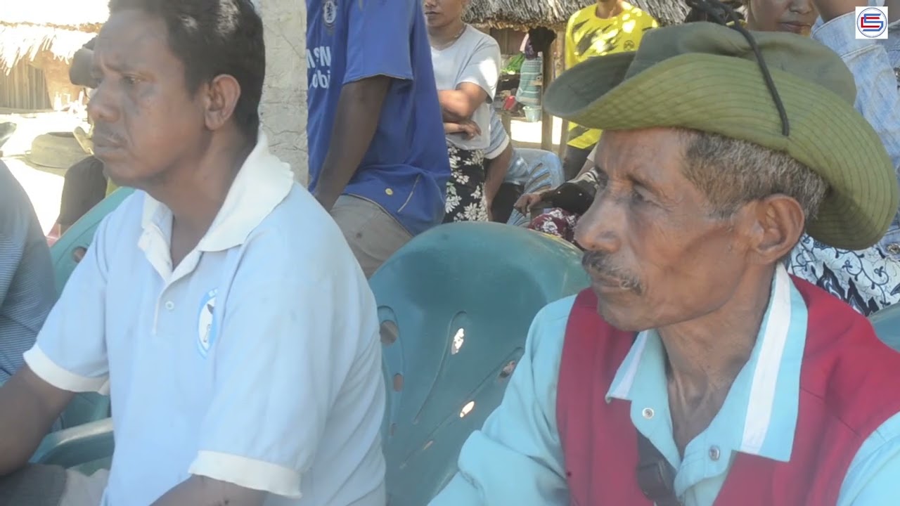 Apoiu Lulolo – Cova5 News